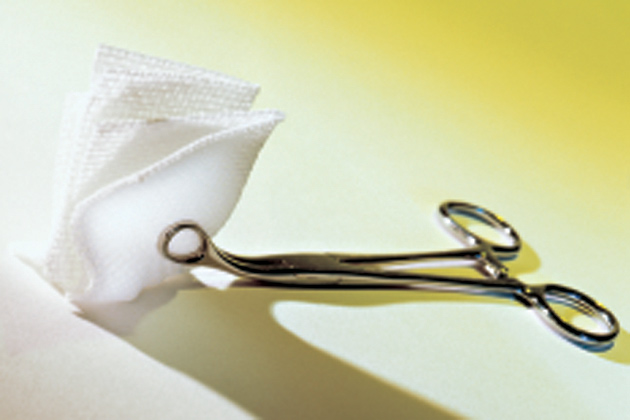 No Sponge Left Behind - Proto Magazine