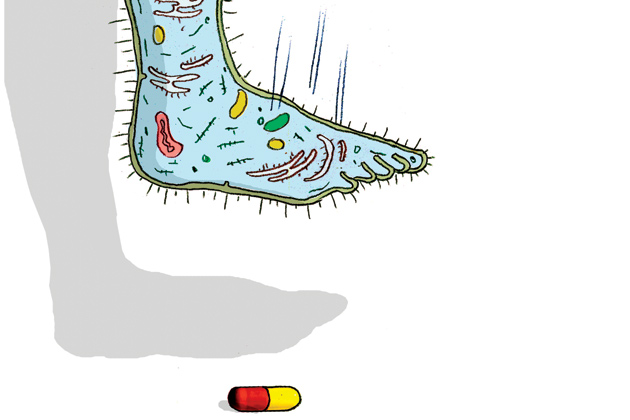 Allies Within - Proto Magazine