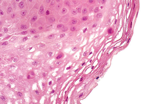 More Questions Than Answers - Proto Magazine