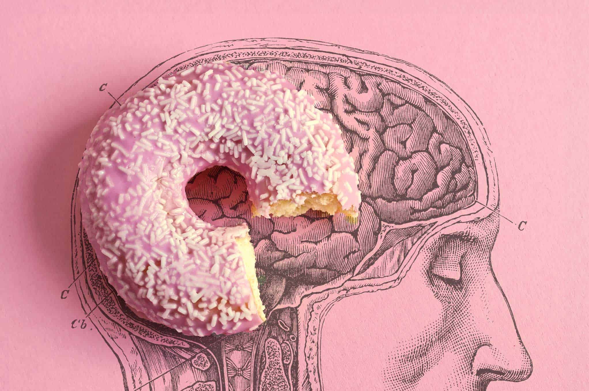 How Poor Diet Shapes the Brain - Proto Magazine