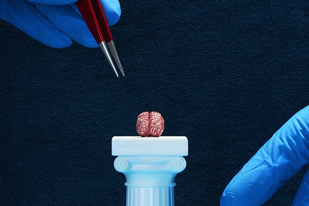 Tiny Marvels - Proto Magazine