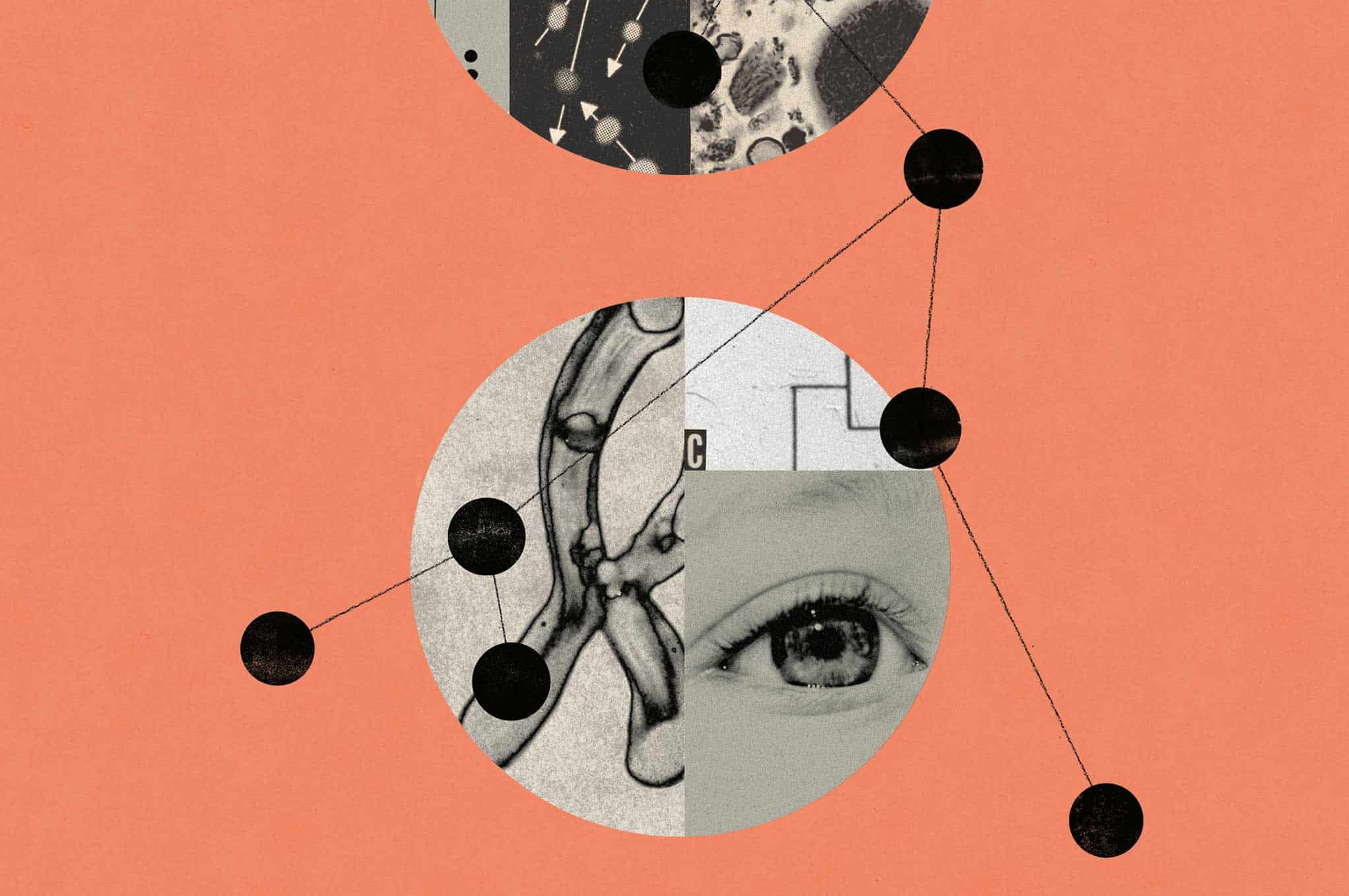 An Errant Gene - Proto Magazine